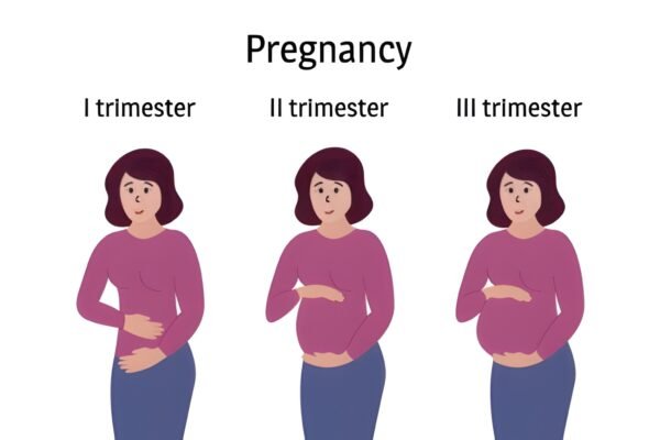 1st Trimester of Pregnancy: A Complete Guide to Early Pregnancy ...
