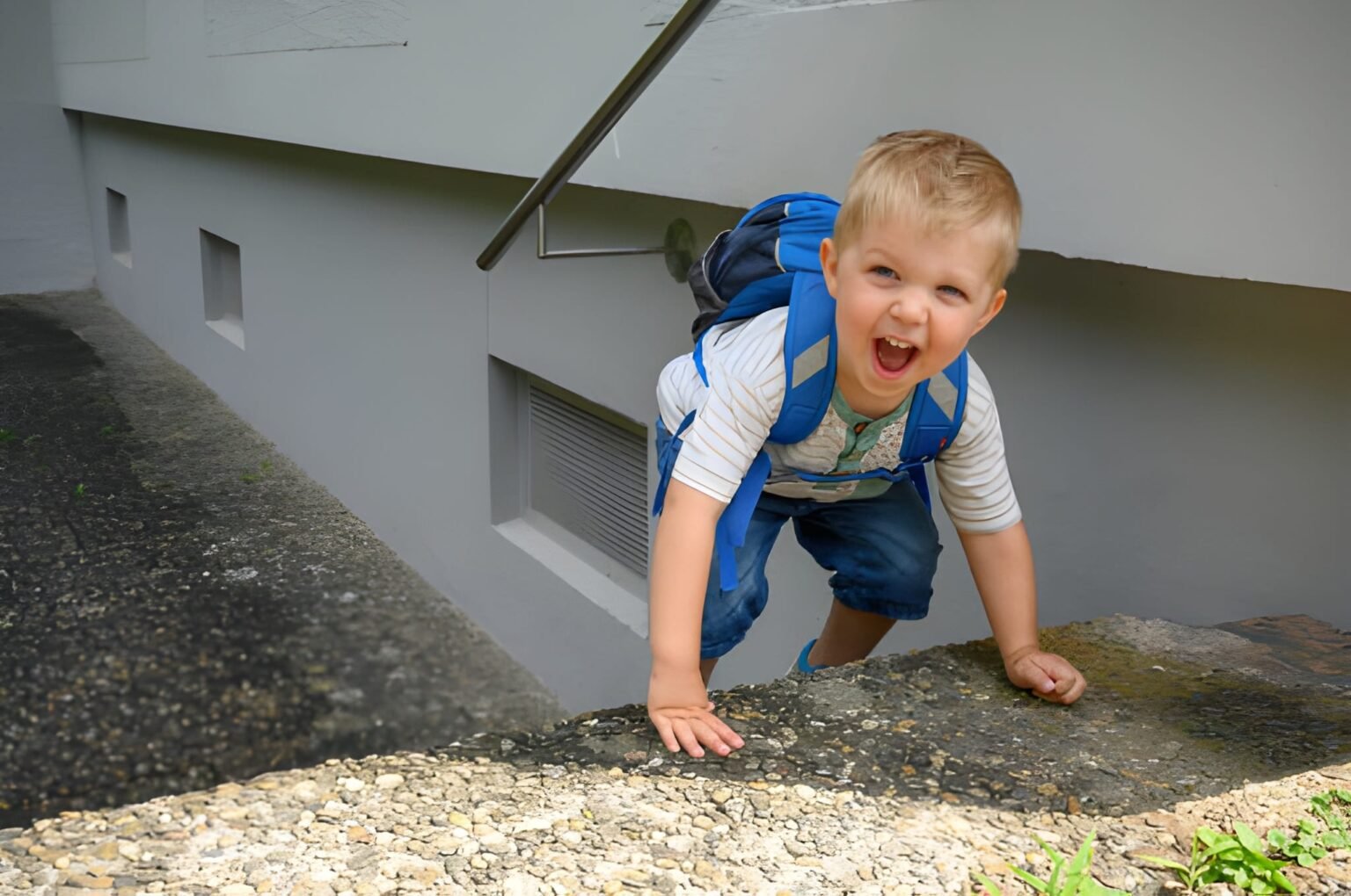 3 Steps Early Learning: A Comprehensive Guide for Parents and Educators ...